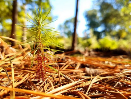 Meet Matthew Rushin » NeuroClastic