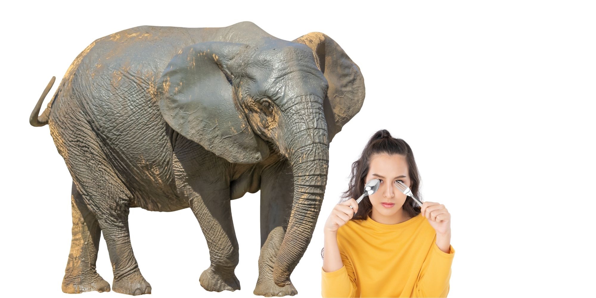 Autism and Food: How to Eat an Elephant » NeuroClastic