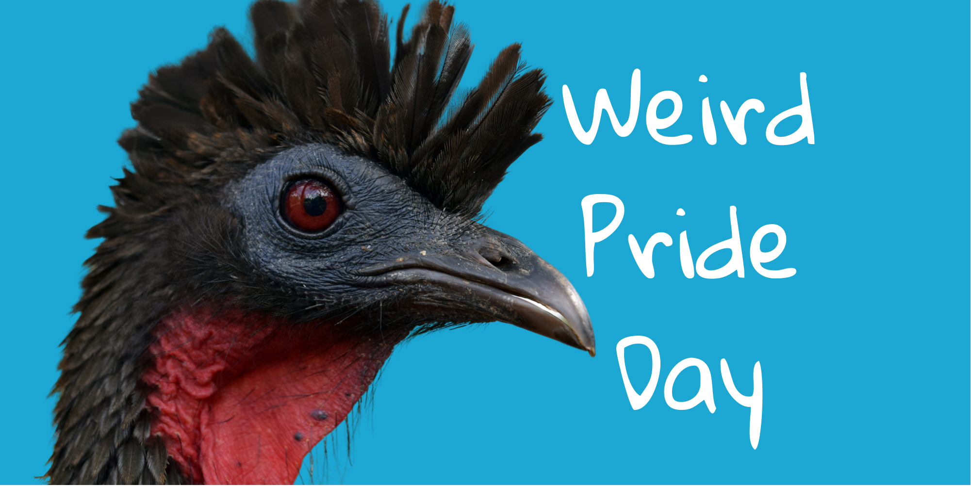 Weird Pride Day: Changing the narrative » NeuroClastic