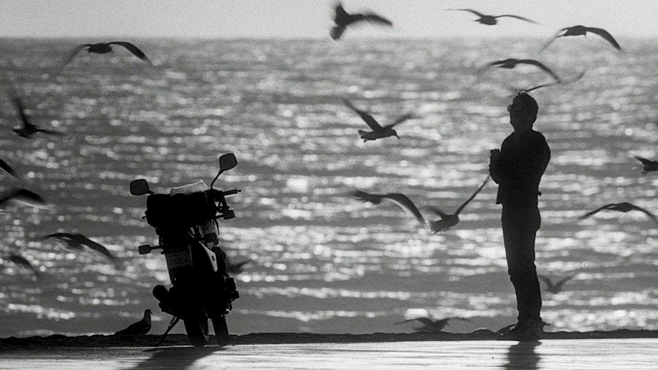 The Autistic Gaze: Rumble Fish [film] » NeuroClastic